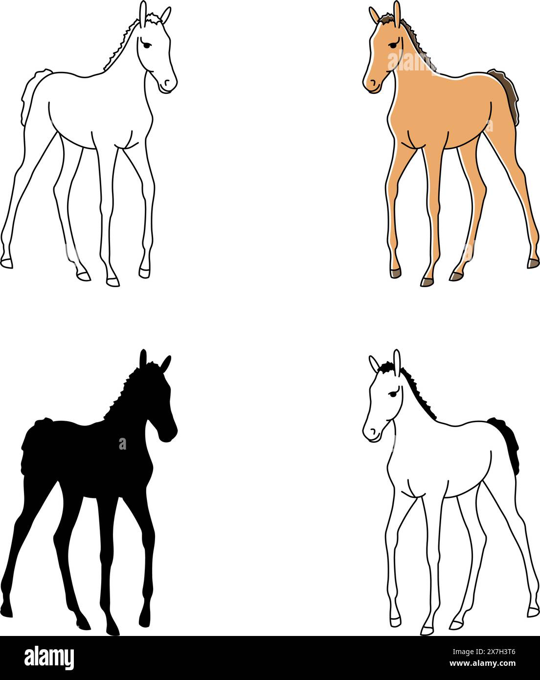 Warmblood foals isolated on white background. Flat cartoon vector ...