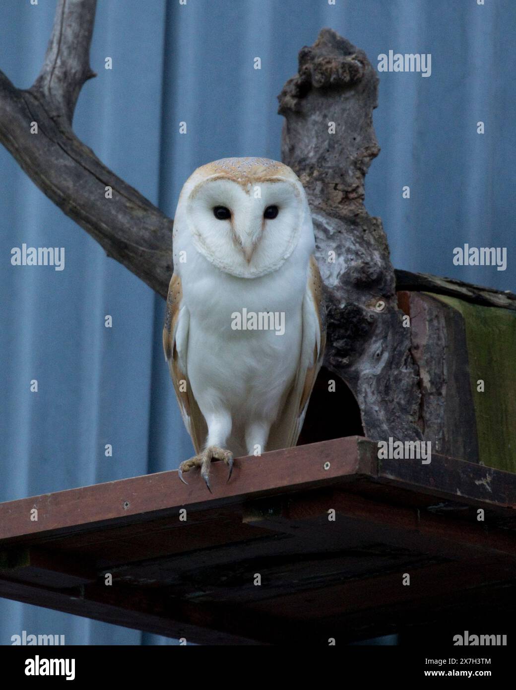 Colemans landing hi-res stock photography and images - Alamy