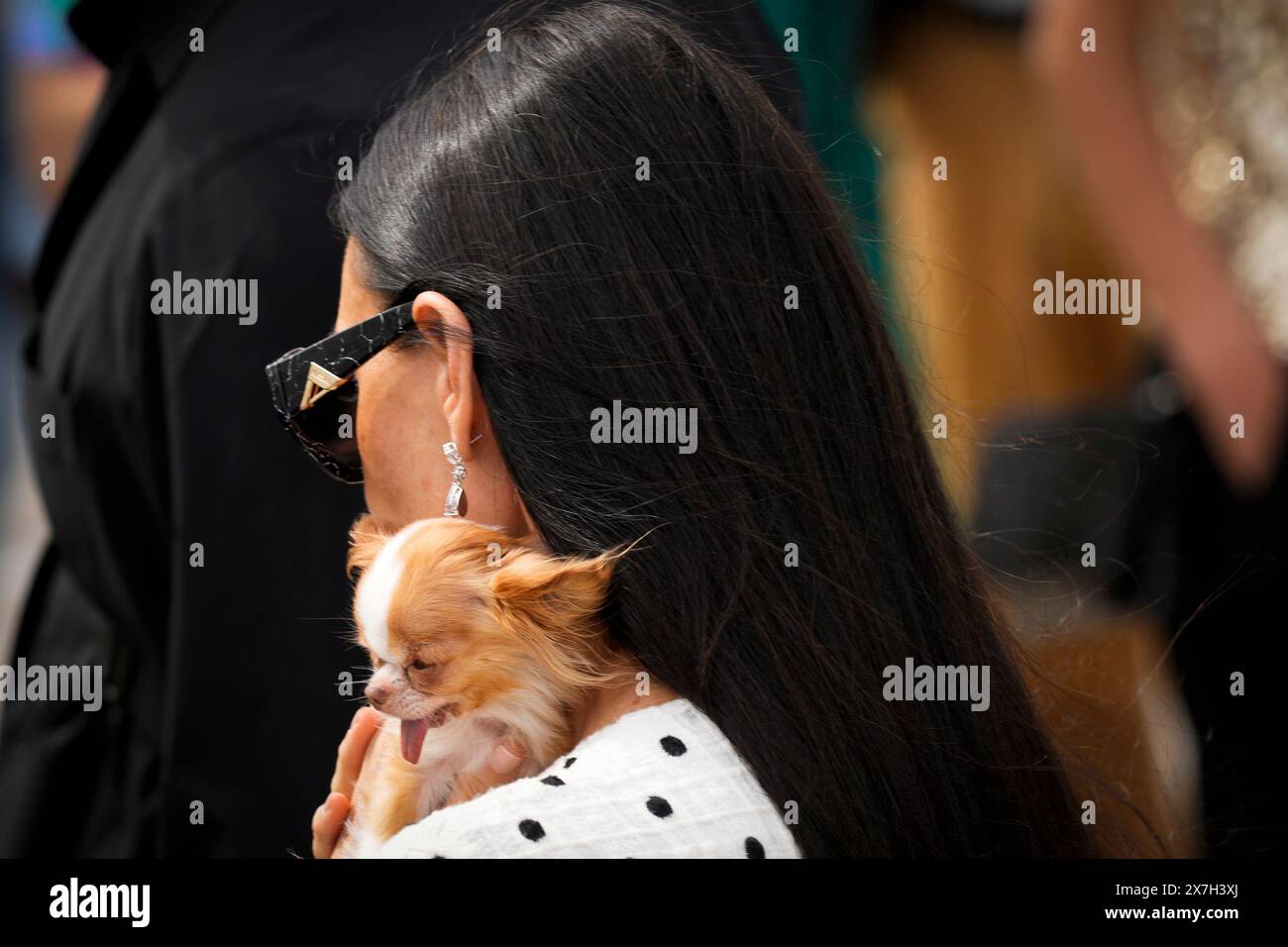 Cannes, France. 20th May, 2024. Demi Moore and her dog Pilaf during a ...