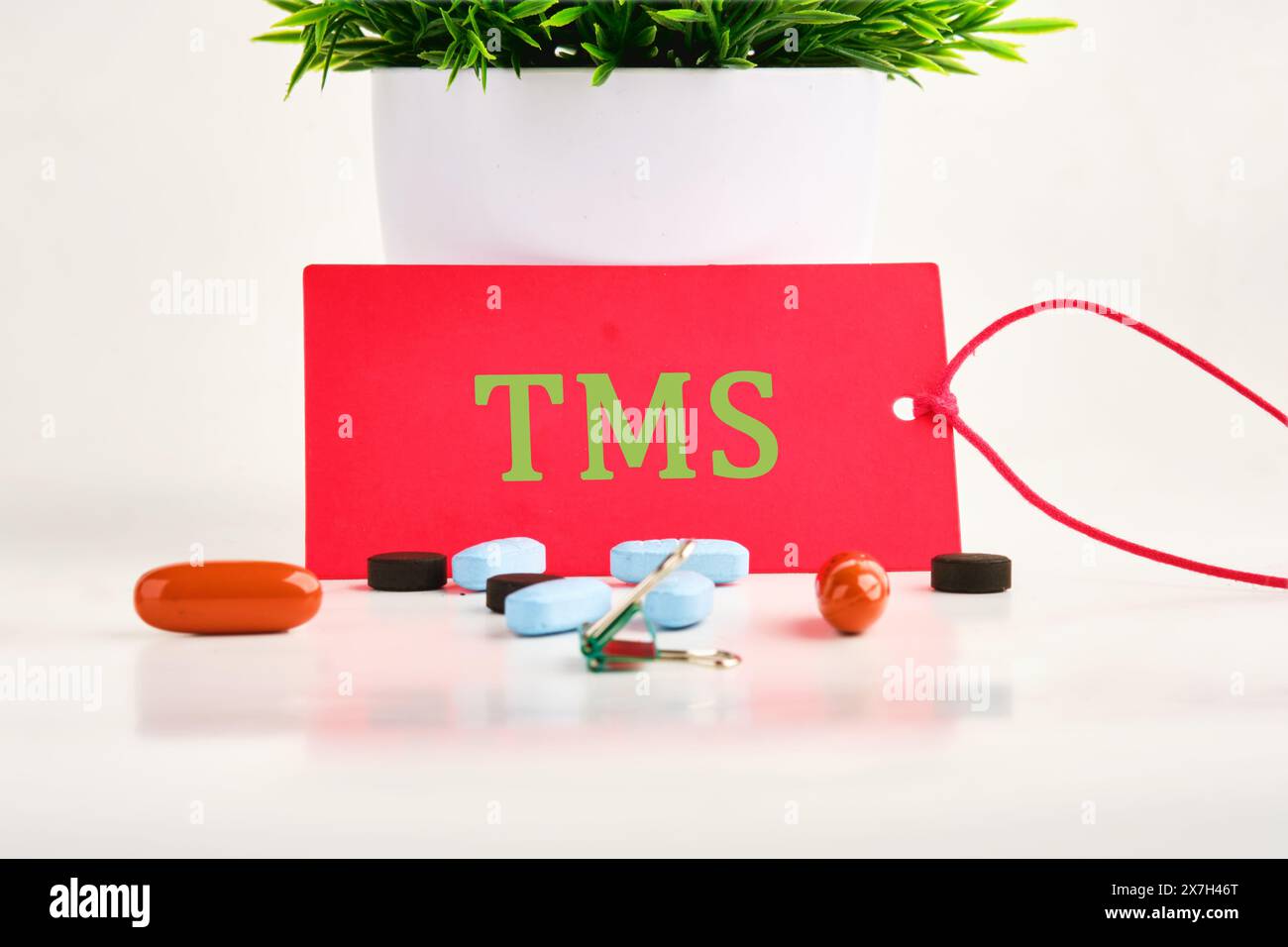 Transportation management system tms hi-res stock photography and ...