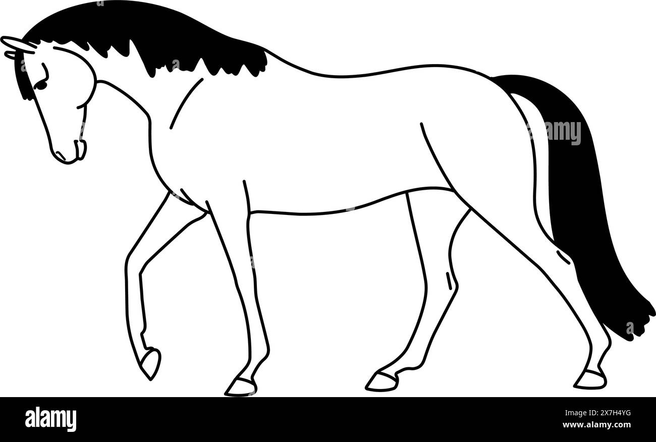 Horse stable drawing hi-res stock photography and images - Alamy