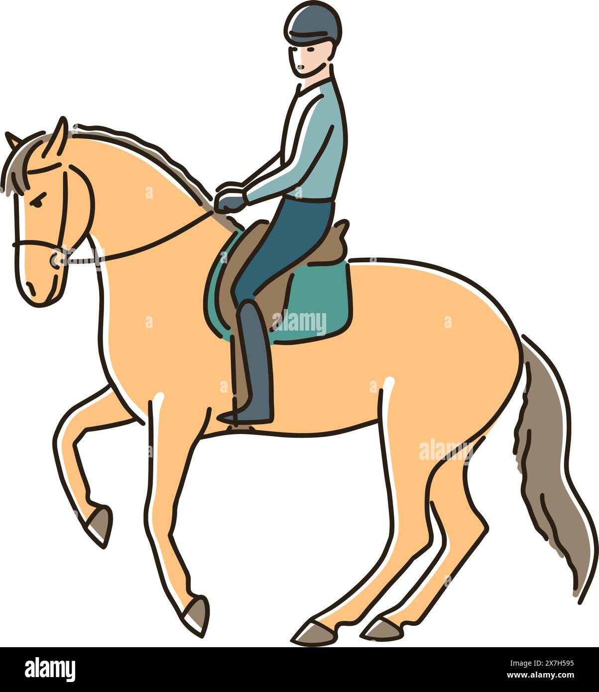 Equestrian athlete riding on a brown horse Stock Vector Image & Art - Alamy