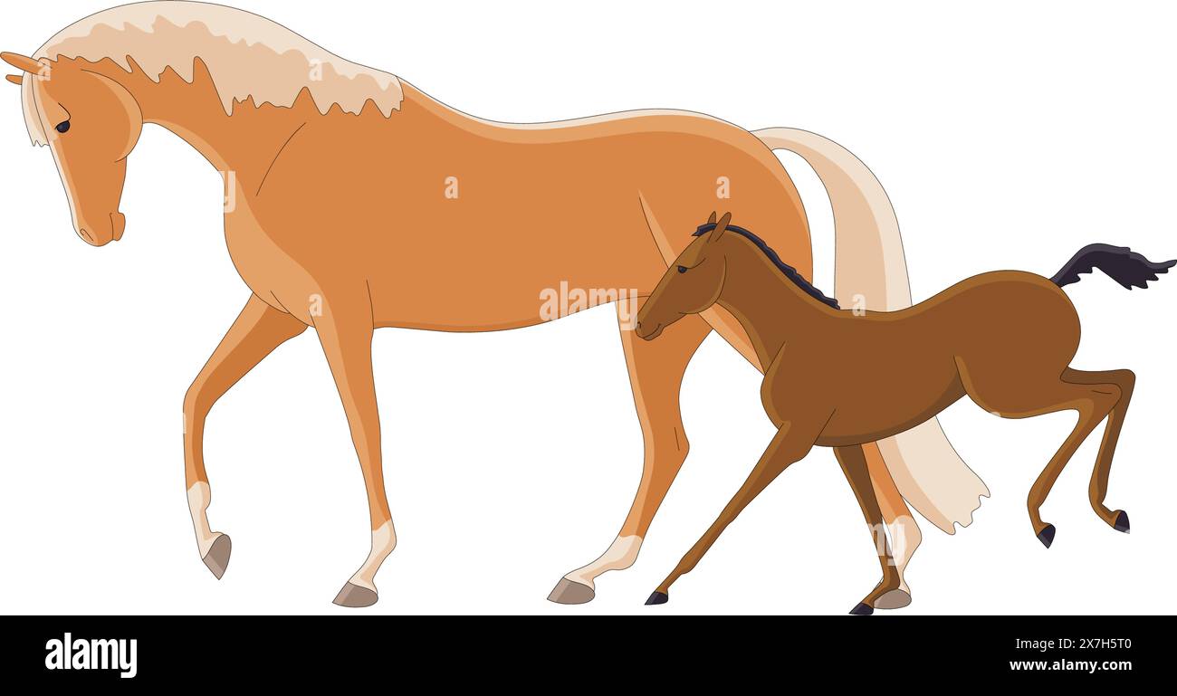 Mares Stock Vector Images - Alamy