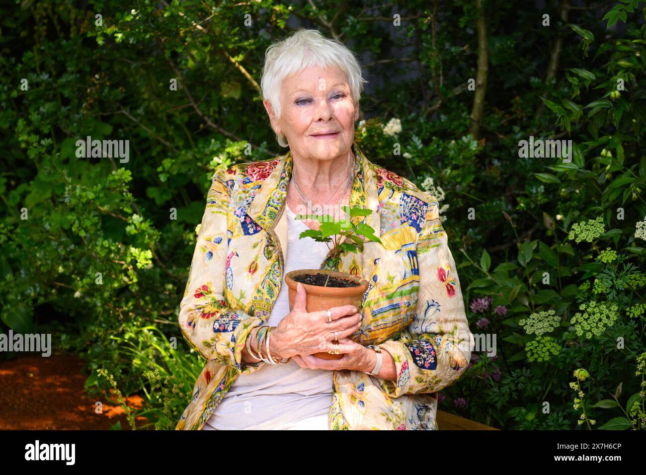 London, UK. 20 May 2024. Dame Judi Dench in the Octavia Hill garden by ...