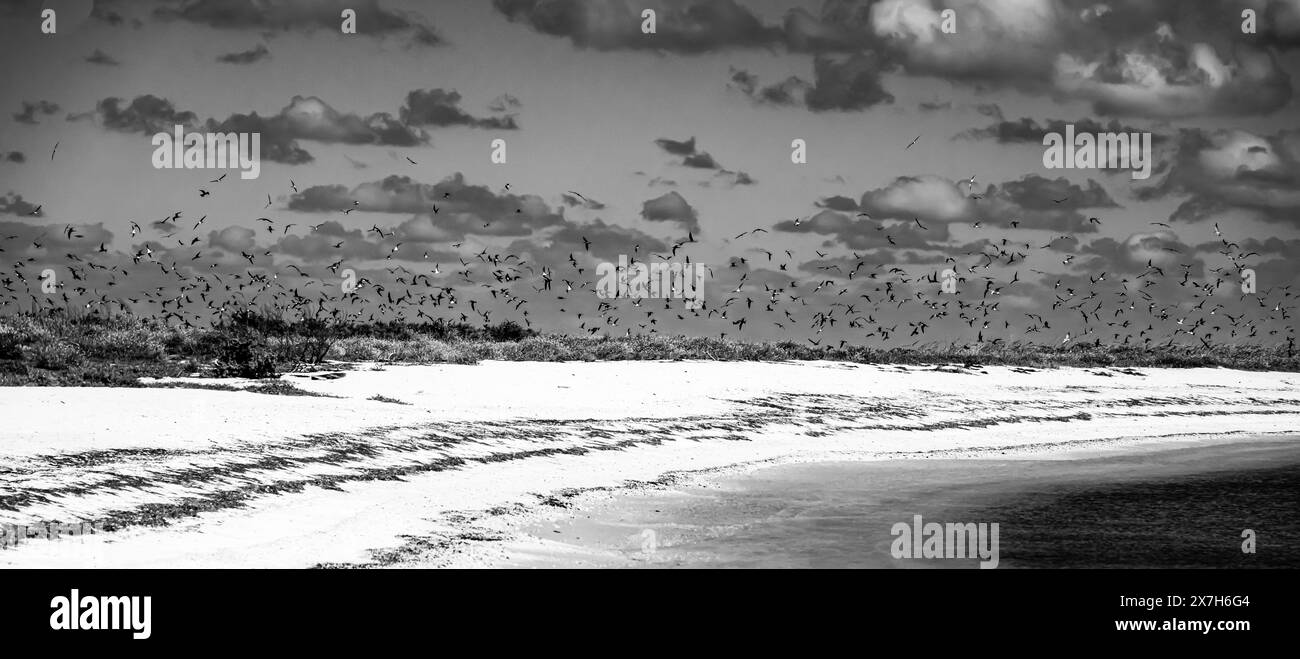 Bush Key with land bridge to Fort Jefferson on Dry Tortugas National ...