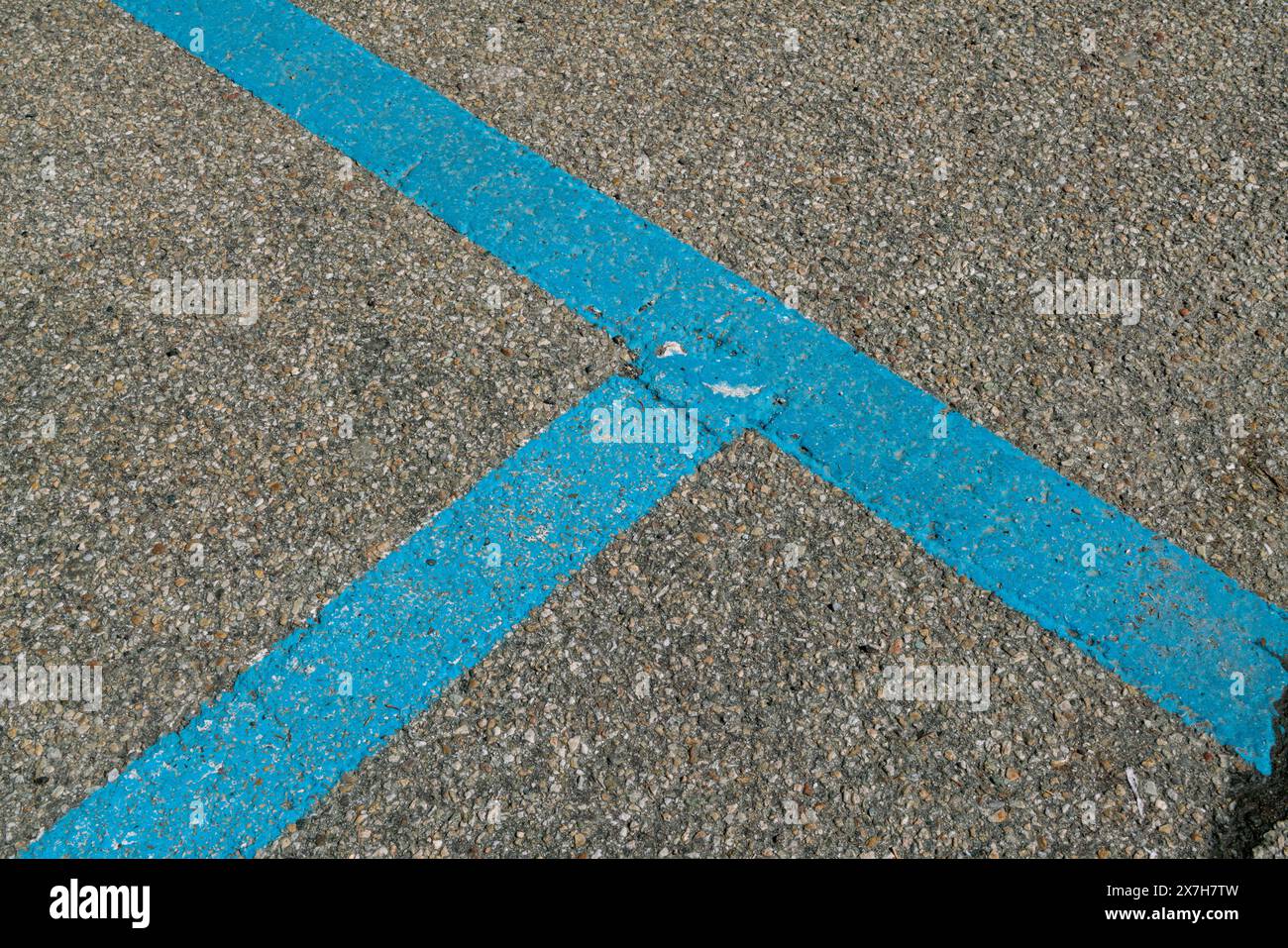 Paid parking lots are indicated with blue lines. neighborhoods with ...