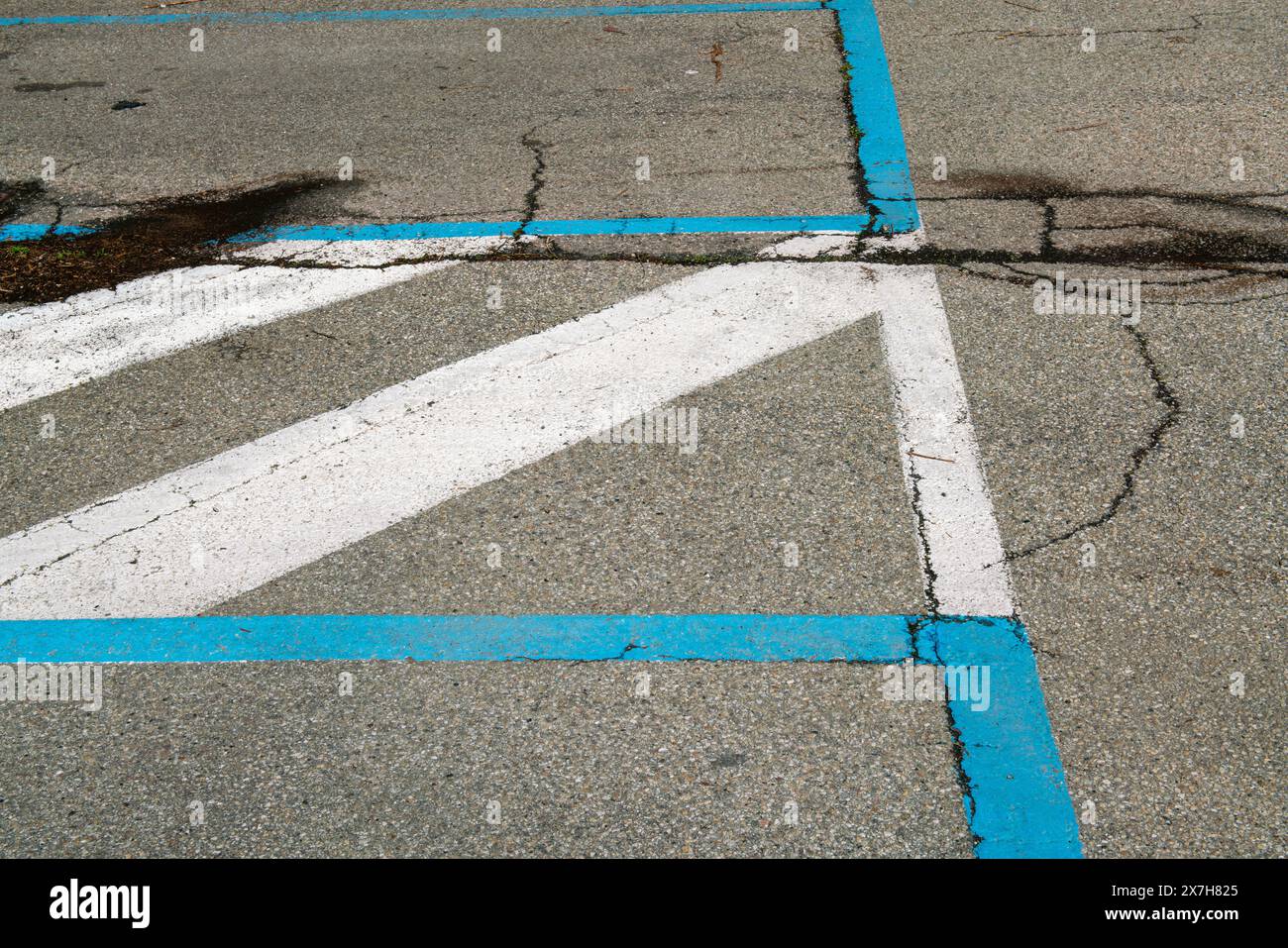 Paid parking lots are indicated with blue lines. neighborhoods with ...