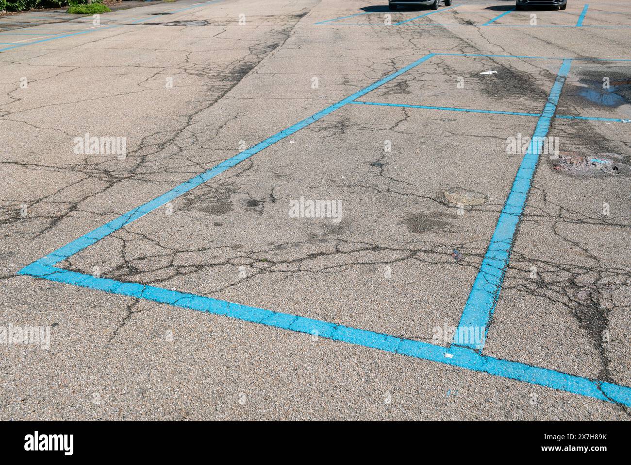 Paid parking lots are indicated with blue lines. neighborhoods with ...