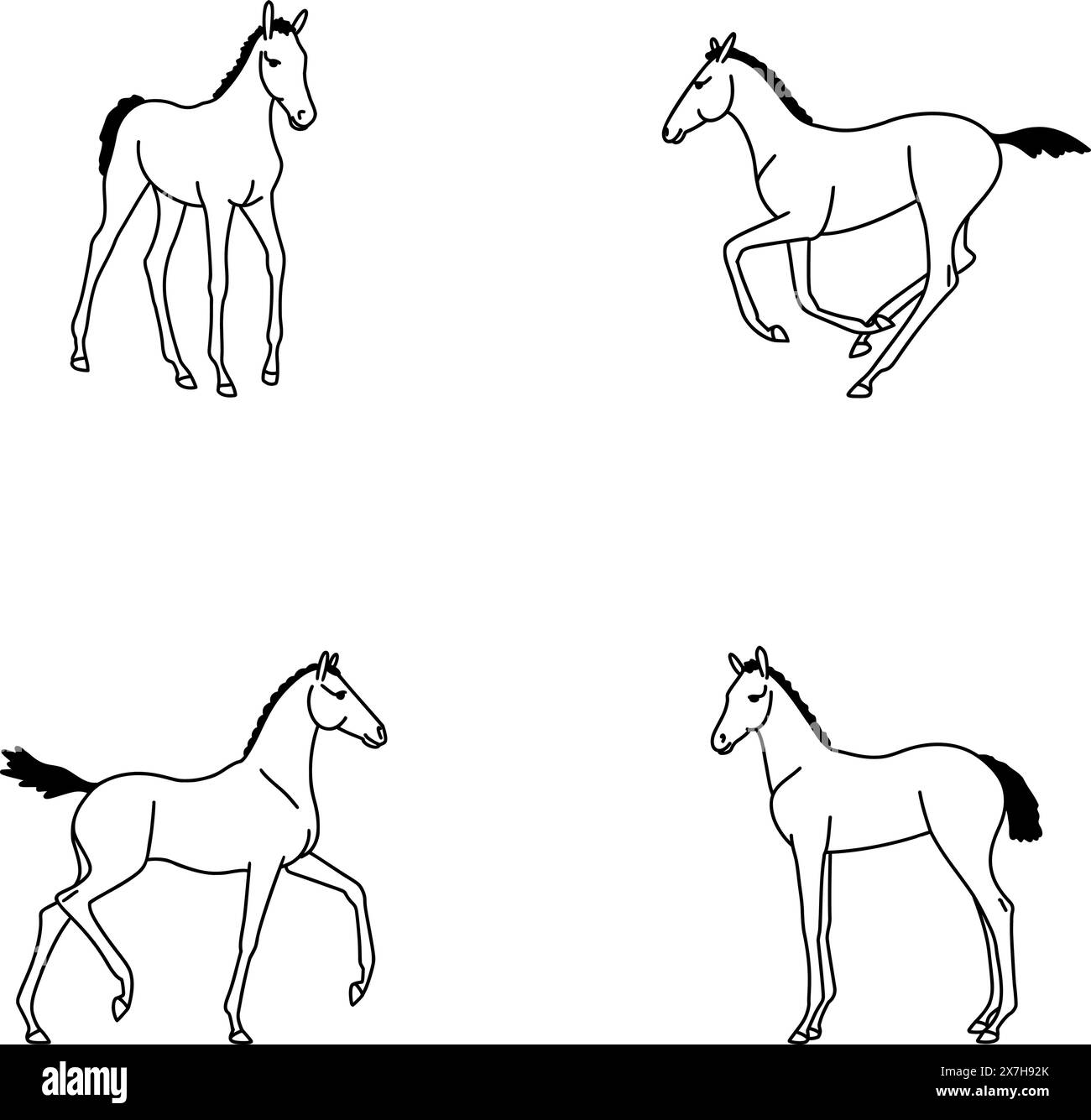Minimalist foals drawing set. Black and white line art vector ...
