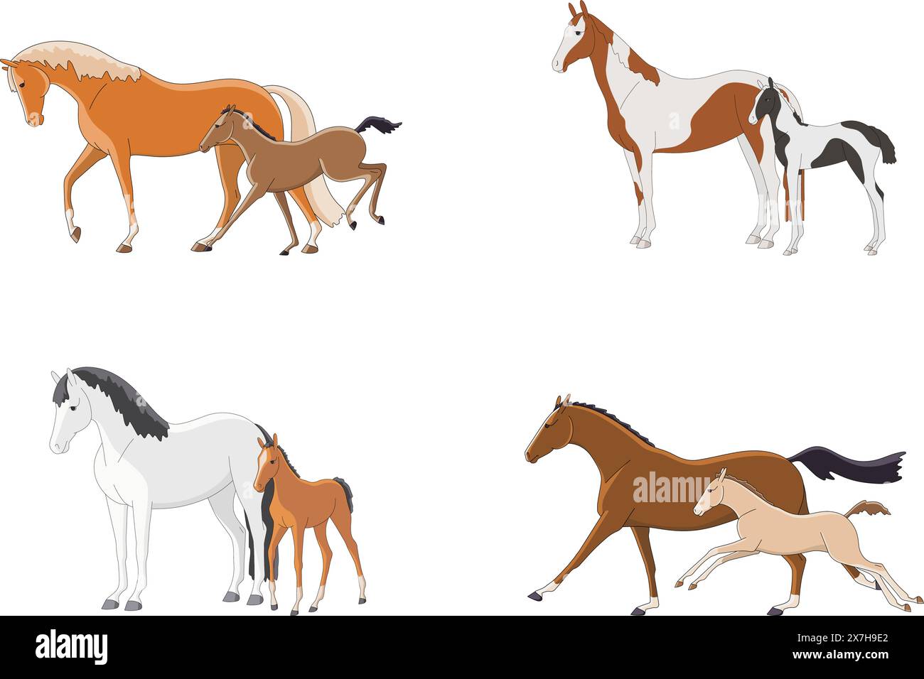A set of images of a mare with foals Stock Vector Image & Art - Alamy