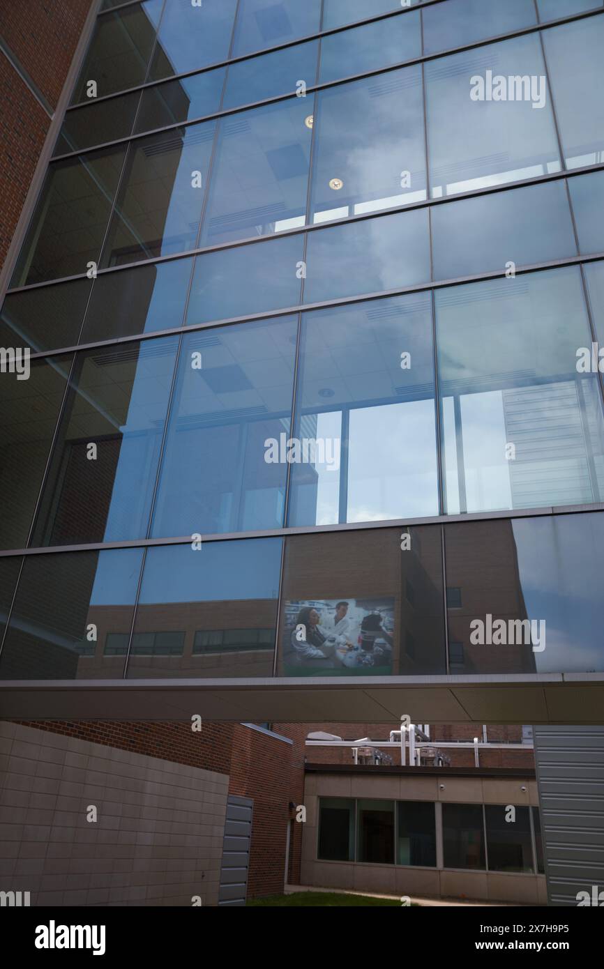 Reflections in the windows of the Facility for Rare Isotope Beams at ...
