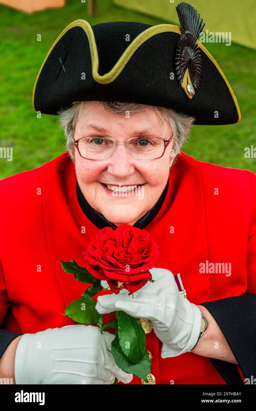 London, UK. 20th May, 2024. Harkness Roses' new Chelsea Pensioner rose ...