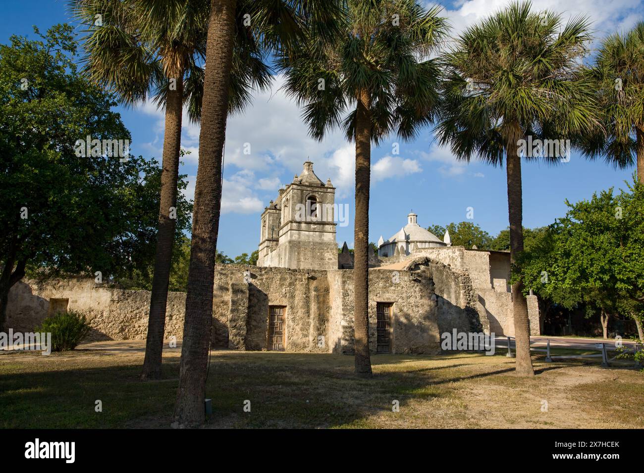 Palm trees and the Mission Concepcion in the San Antonio Missions ...