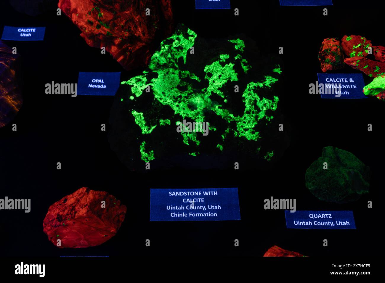 Minerals fluorescing under ultraviolet light in the Utah Field House of ...