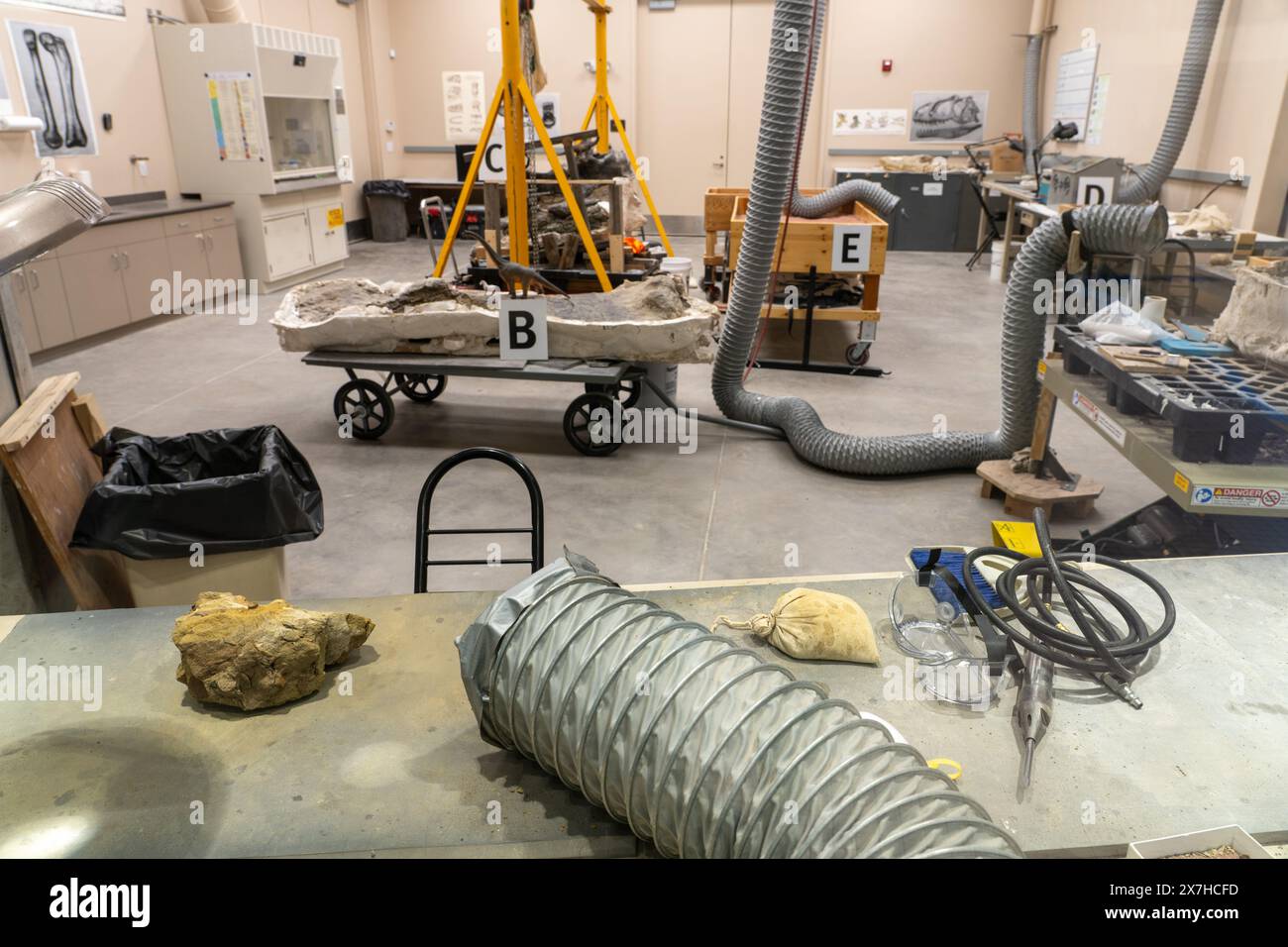 Working tools for cleaning fossils in the laboratory of the Utah Field ...