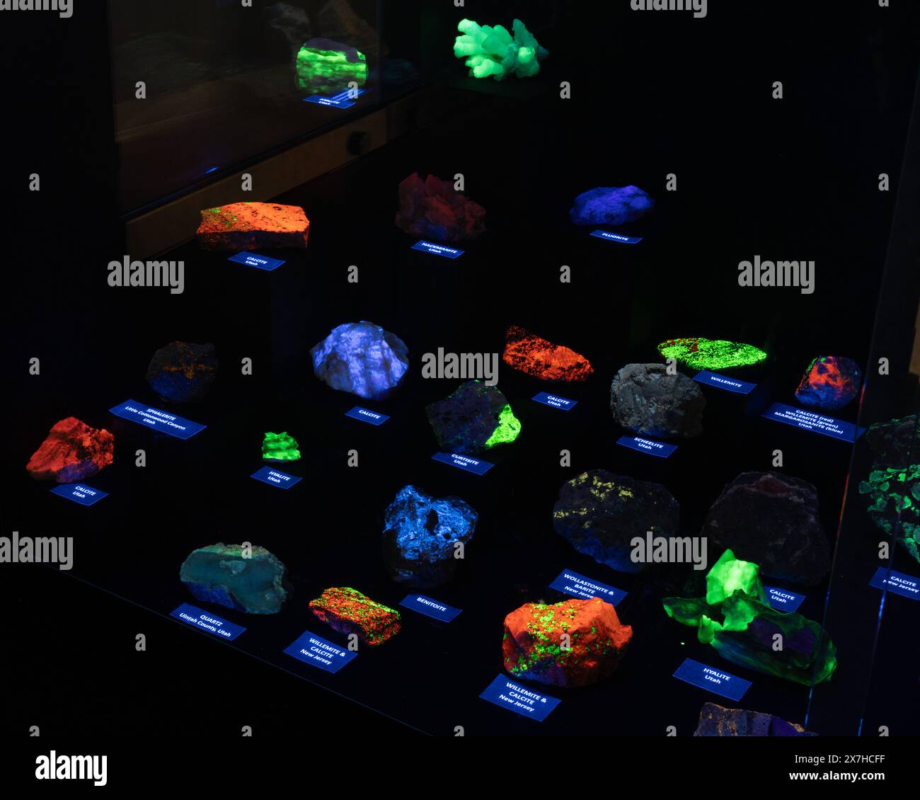 Minerals fluorescing under ultraviolet light in the Utah Field House of ...