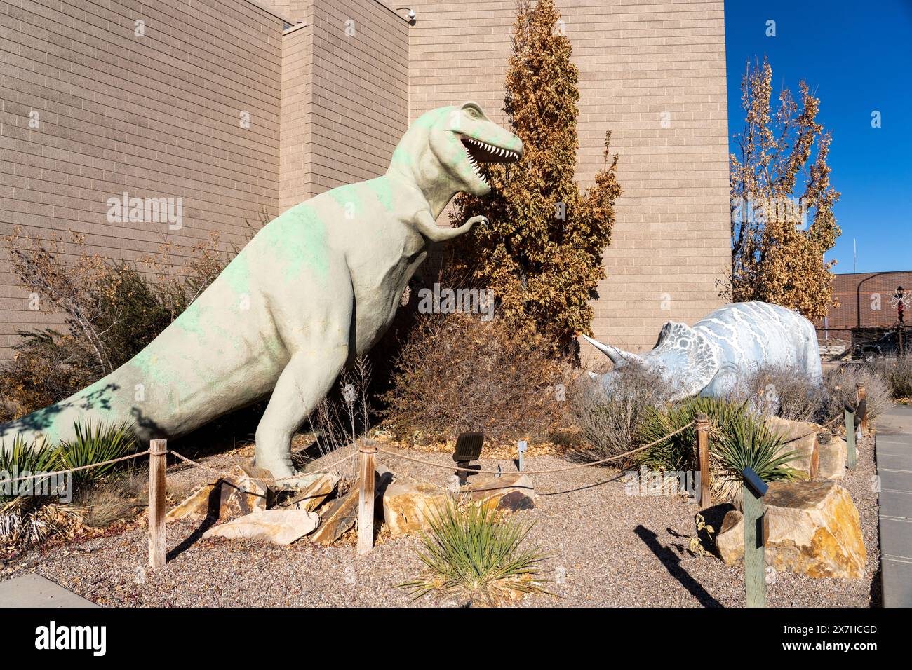 Full-size models of Tyrannosaurus rex & triceratops in the Dinosaur ...