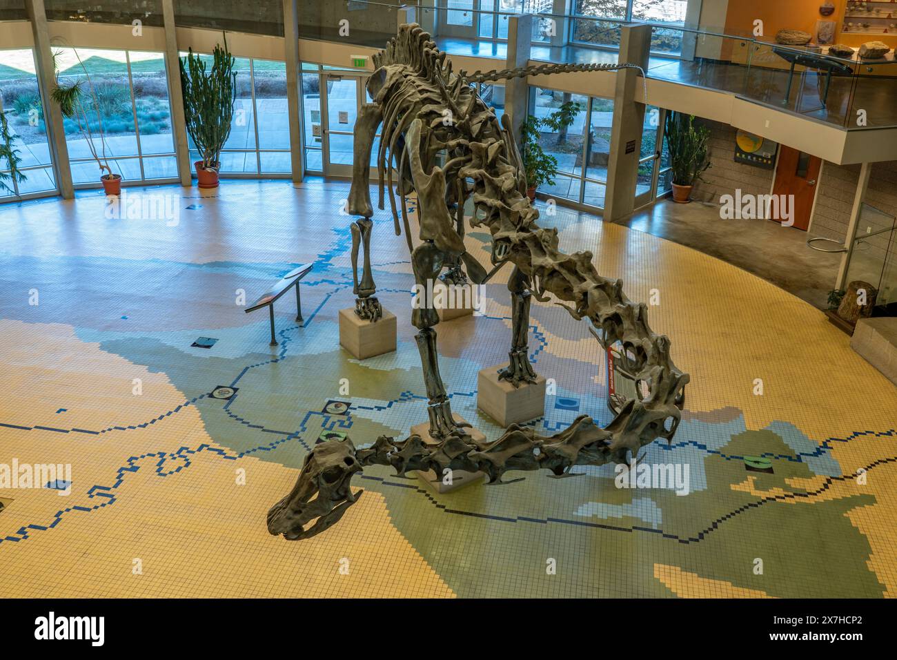 Skeleton cast of a Diplodocus dinosaur in the Utah Field House of ...