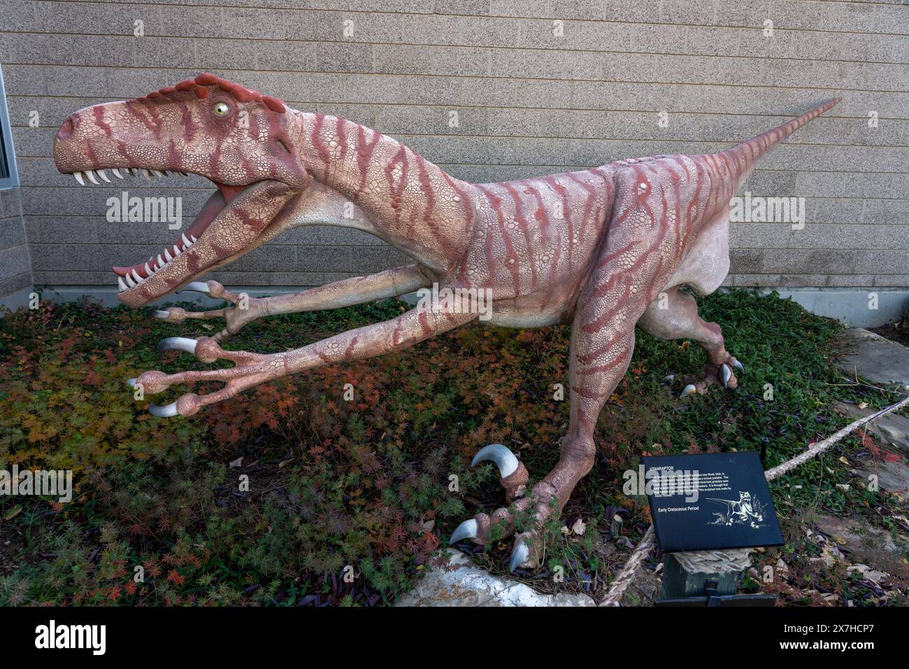 A full-size model of a Utahraptor in the Dinosaur Garden at the Utah ...