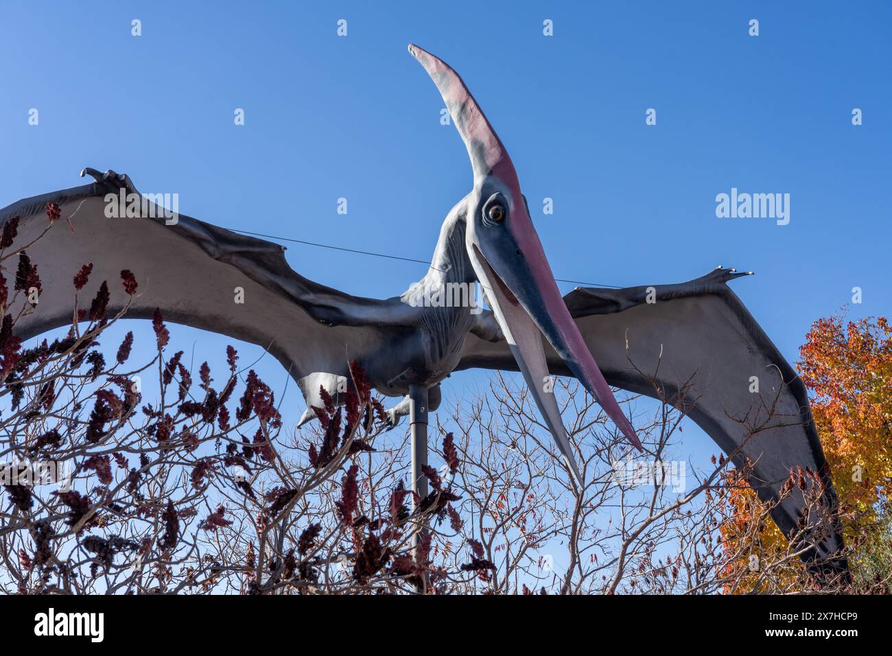 Full-size model of a pterodactyl in the Dinosaur Garden. Utah Field ...