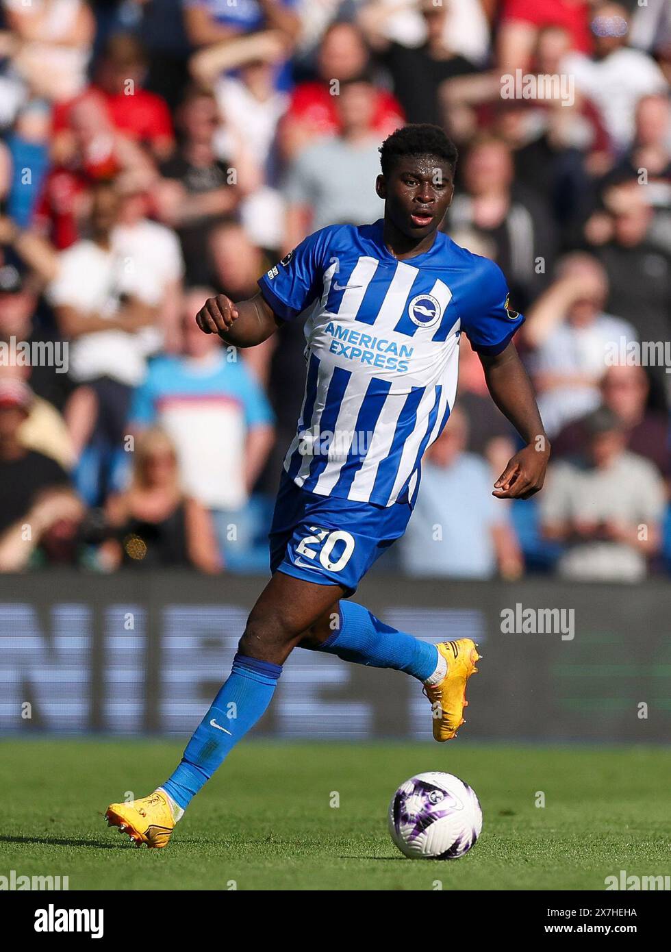 Brighton and Hove Albion's Carlos Baleba in action during the Premier ...