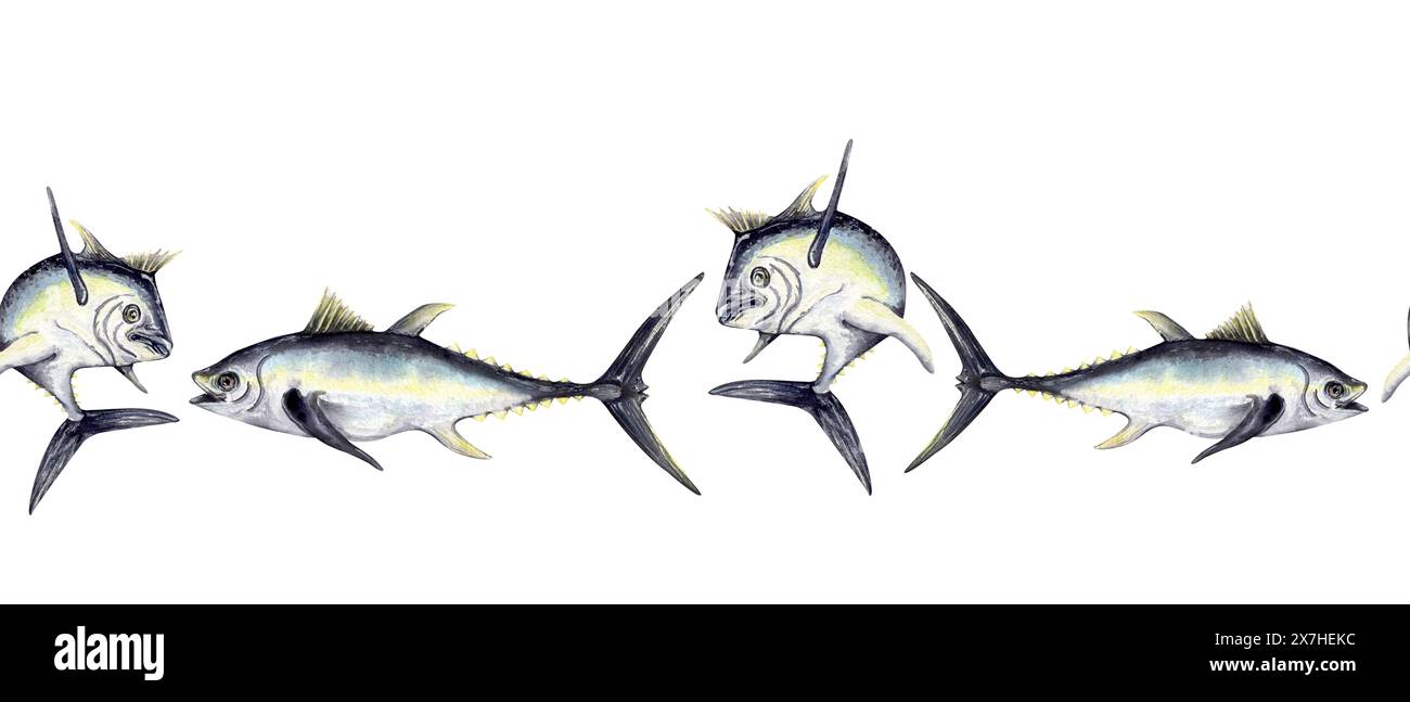 seamless border with tuna fish Stock Photo - Alamy