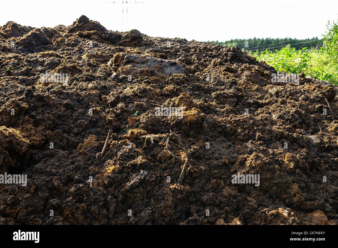 Digging out peat from marshy swamps, visible mountains made of peat ...