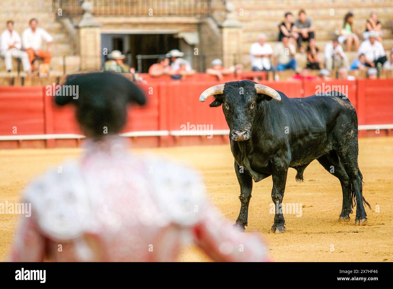 Sport crowd facing stands hi-res stock photography and images - Alamy