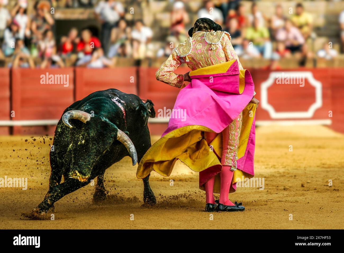 Matador Antonio Nazaré deftly wields his capote in a traditional ...