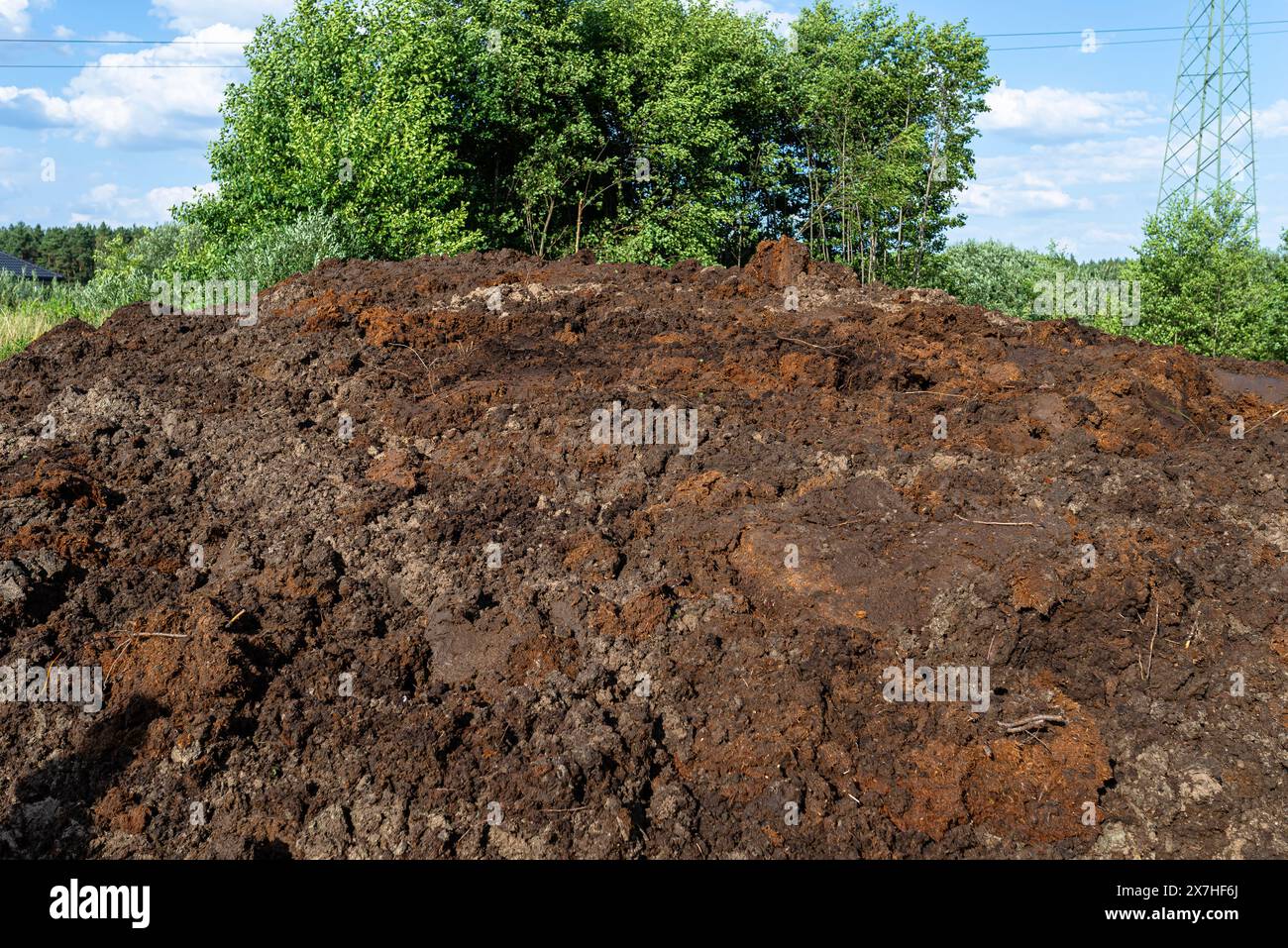 Digging out peat from marshy swamps, visible mountains made of peat ...