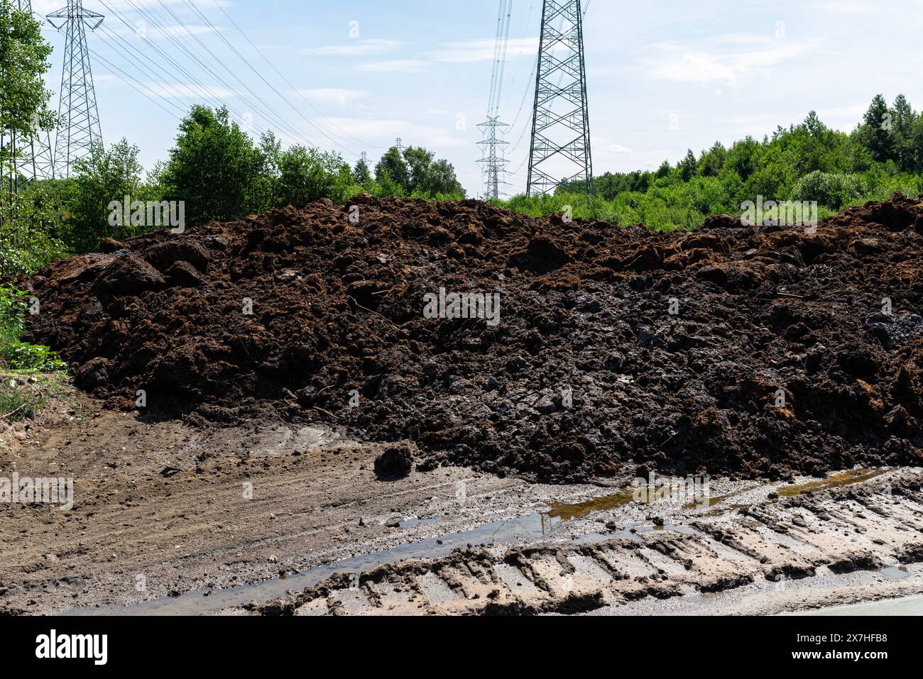 Digging out peat from marshy swamps, visible mountains made of peat ...