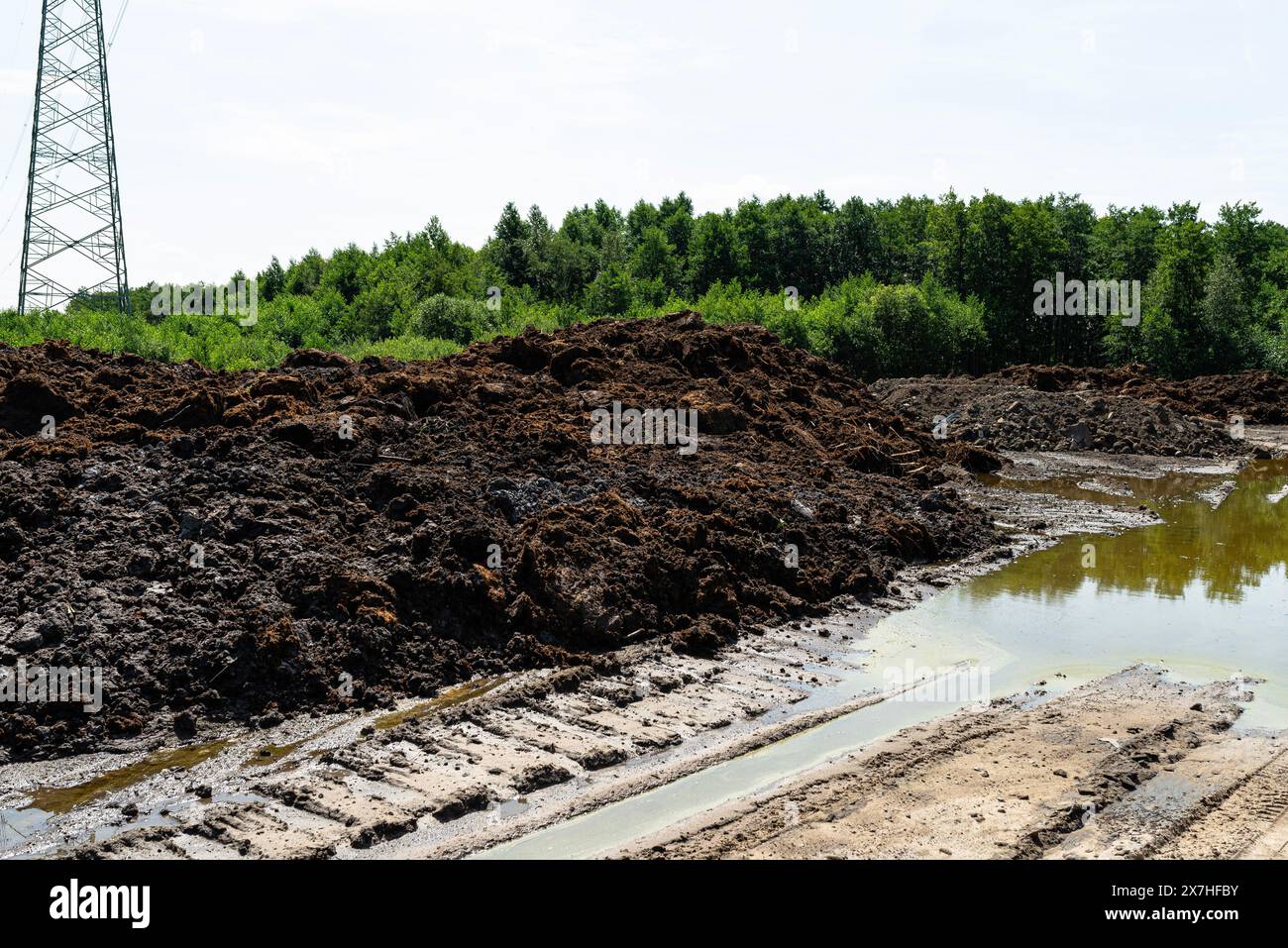 Digging out peat from marshy swamps, visible mountains made of peat ...