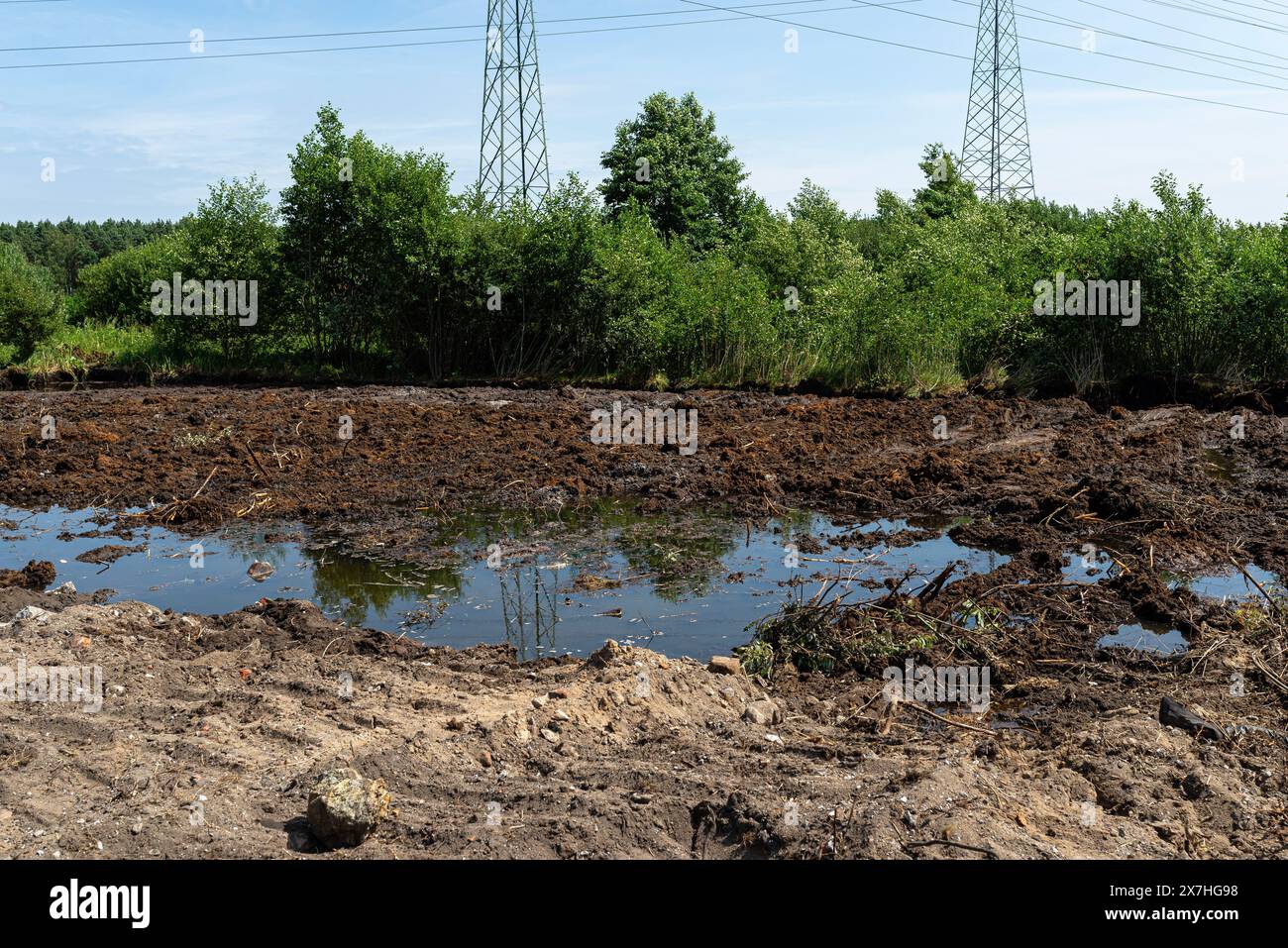 Excavating peat from marshy swamps, visible hole with groundwater Stock ...