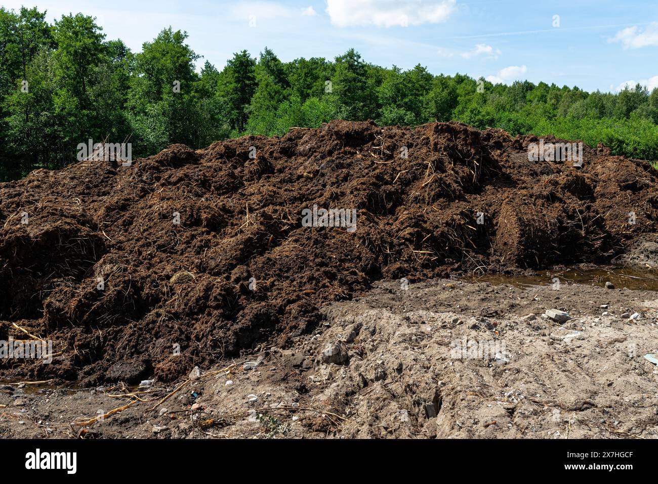 Digging out peat from marshy swamps, visible mountains made of peat ...