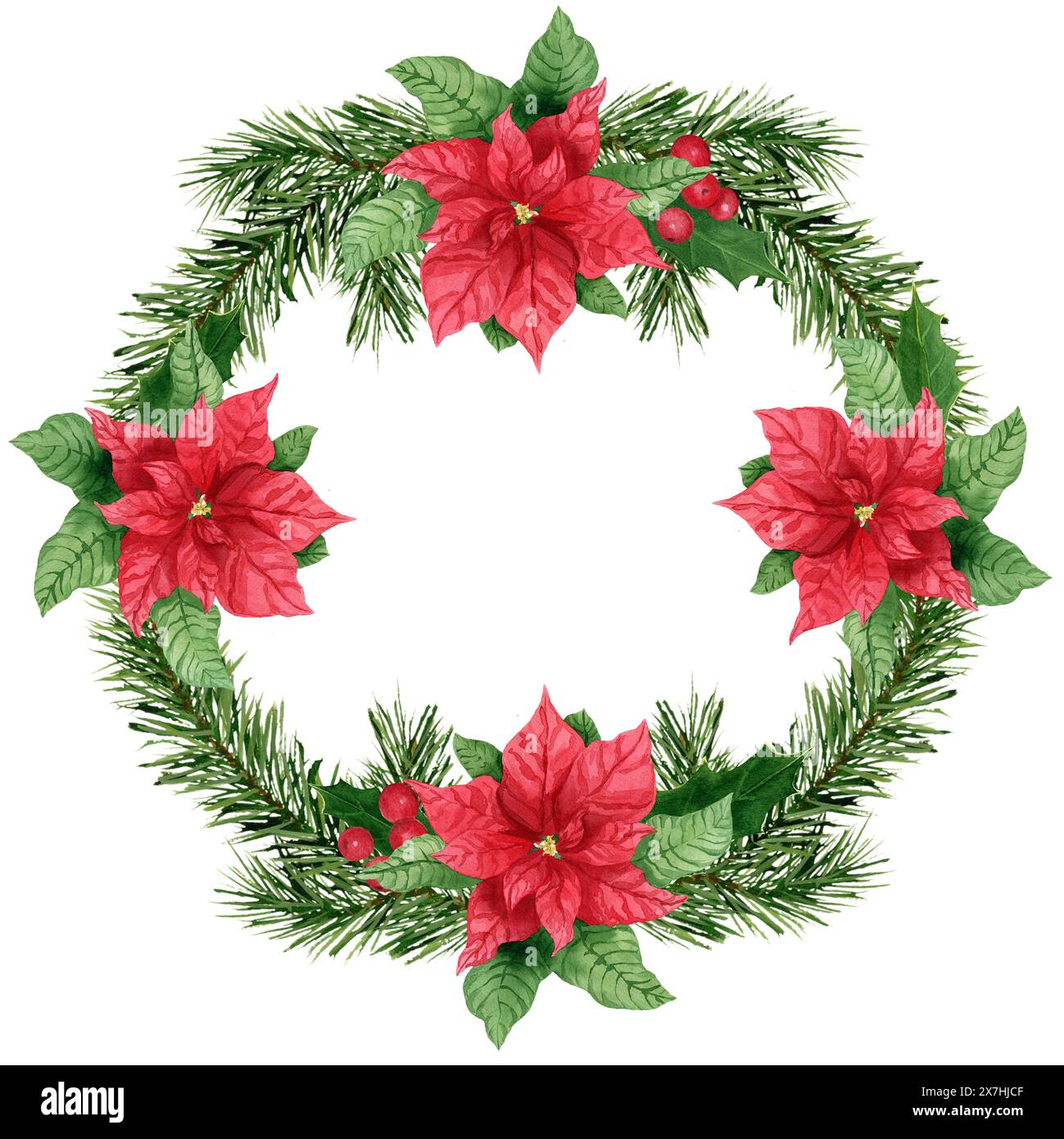Holly leaves, pine, berry and red poinsettia Christmas wreath ...