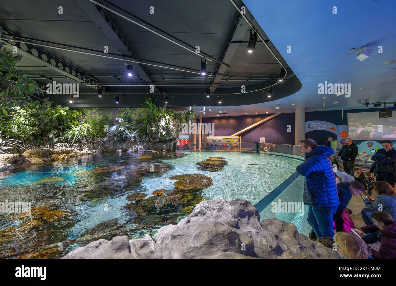 Interior of The Deep aquarium, Kingston upon Hull, Yorkshire, England ...