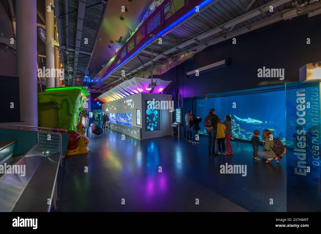 Interior of The Deep aquarium, Kingston upon Hull, Yorkshire, England ...