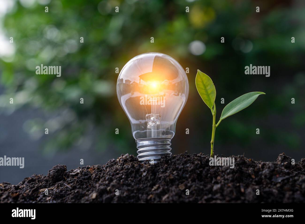 Green technology concept, energy sources for renewable Stock Photo - Alamy