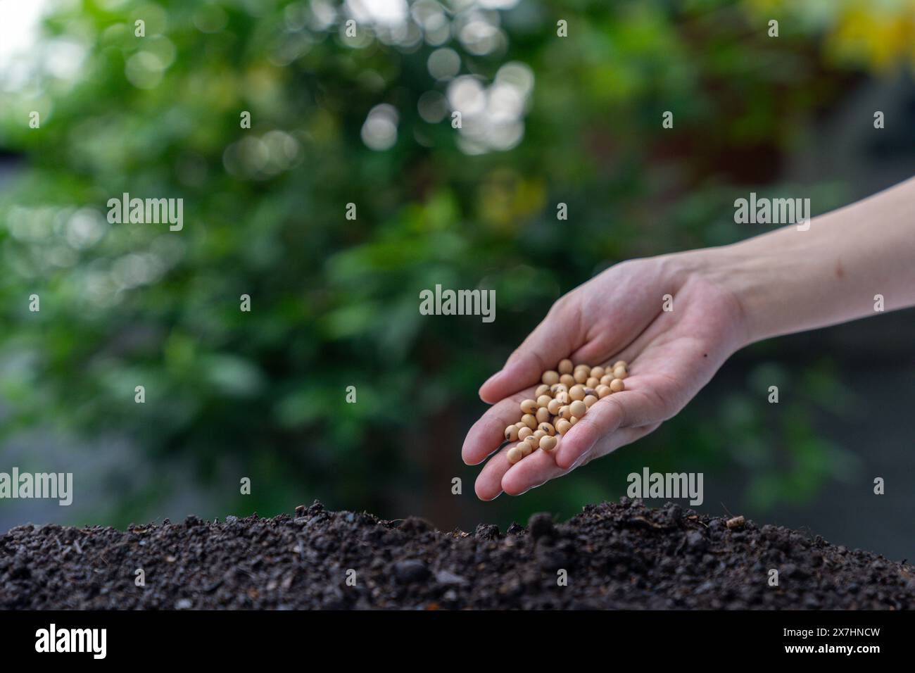 Green technology concept, energy sources for renewable Stock Photo - Alamy