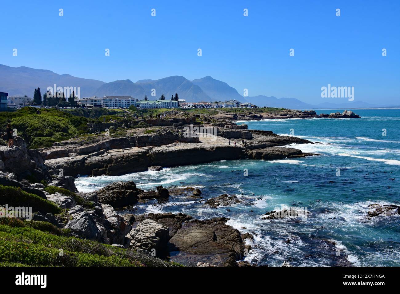 Whale spotting south africa hi-res stock photography and images - Alamy