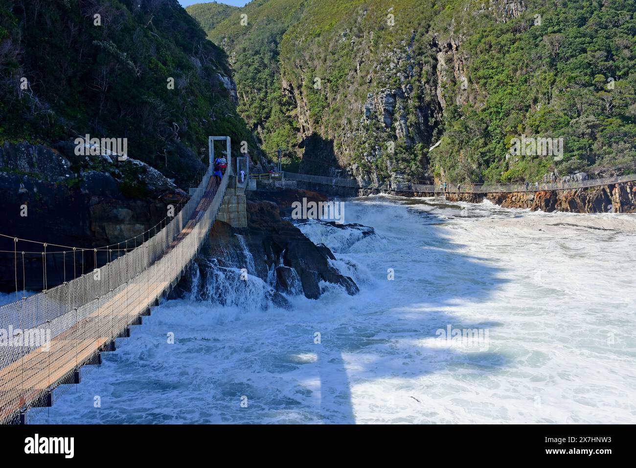 Tsitsikamma forest hi-res stock photography and images - Alamy