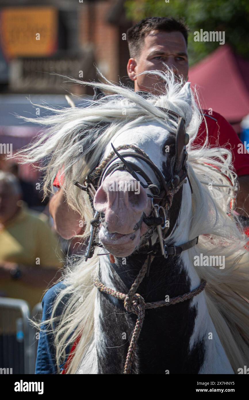 Wickham Horse Fair 2024 Stock Photo - Alamy