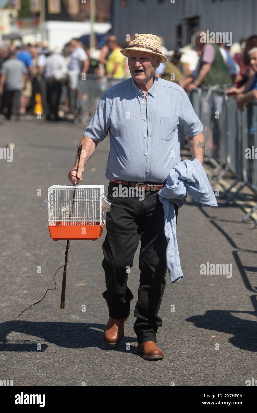 Wickham Horse Fair 2024 Stock Photo - Alamy