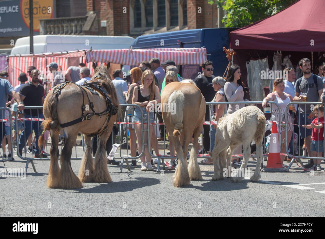 Wickham Horse Fair 2024 Stock Photo - Alamy