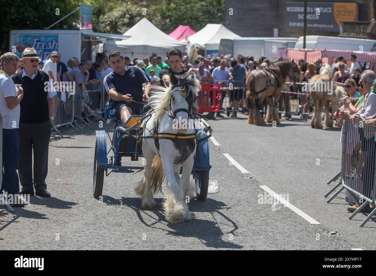 Wickham Horse Fair 2024 Stock Photo - Alamy