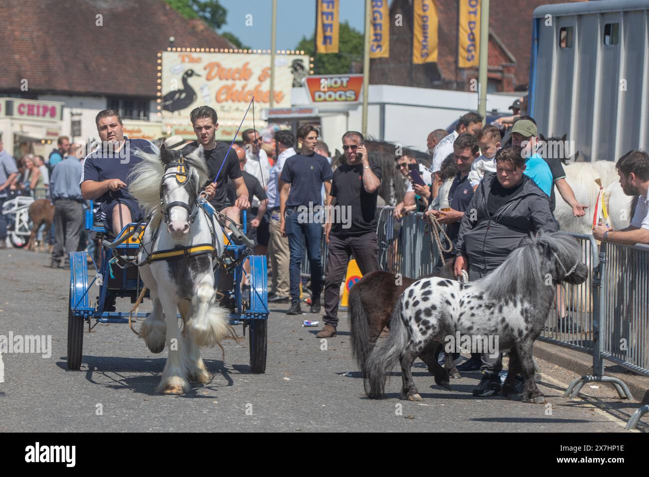 Wickham Horse Fair 2024 Stock Photo - Alamy