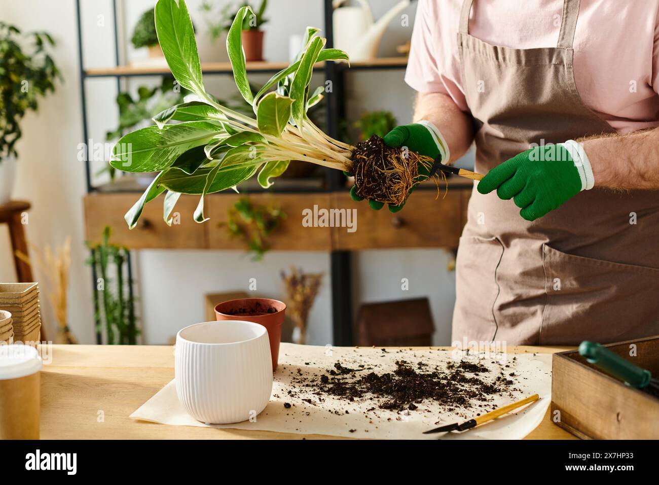 A person in green gloves delicately holds a healthy plant, showcasing ...