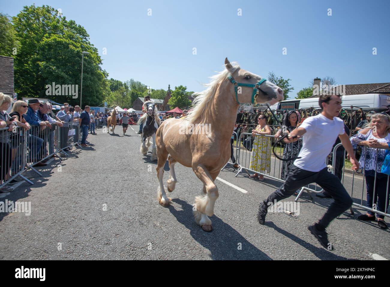 Wickham Horse Fair 2024 Stock Photo - Alamy