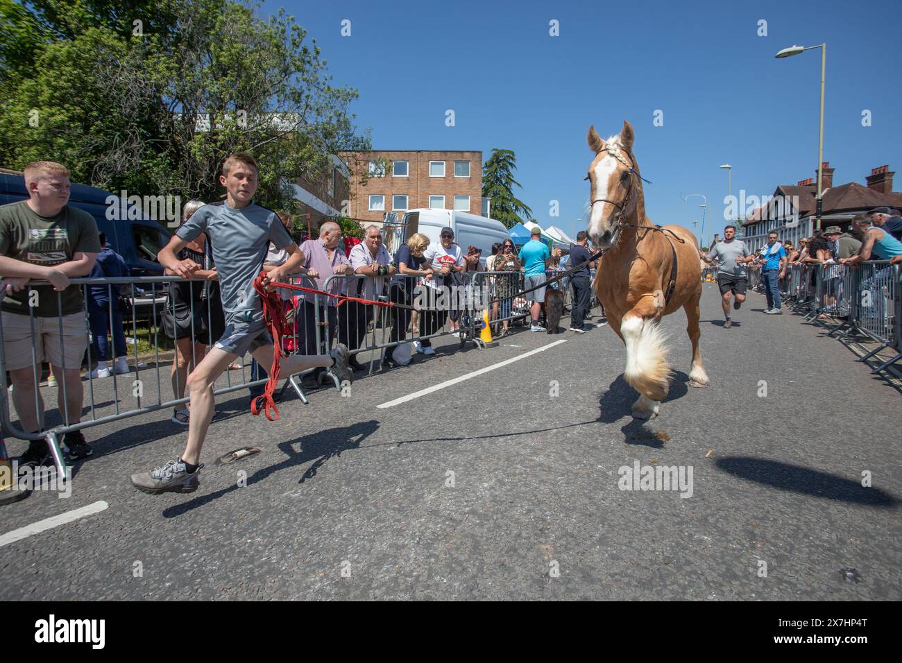 Wickham Horse Fair 2024 Stock Photo - Alamy