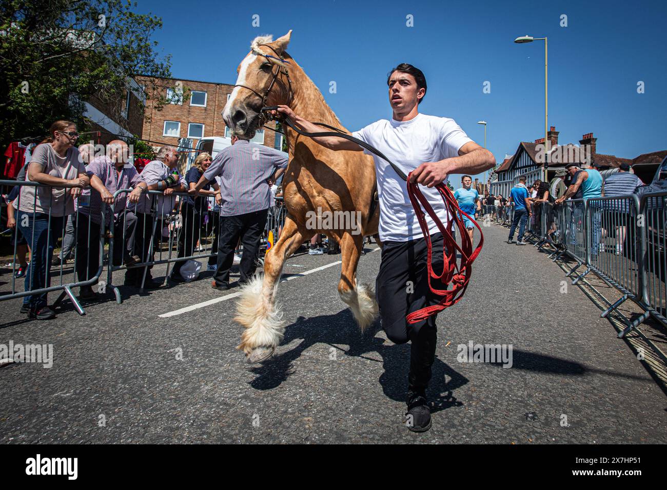 Wickham Horse Fair 2024 Stock Photo - Alamy